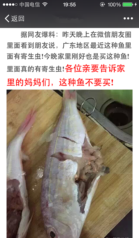 异尖线虫图片 线虫图片 水线虫图片 第4页 大山谷图库